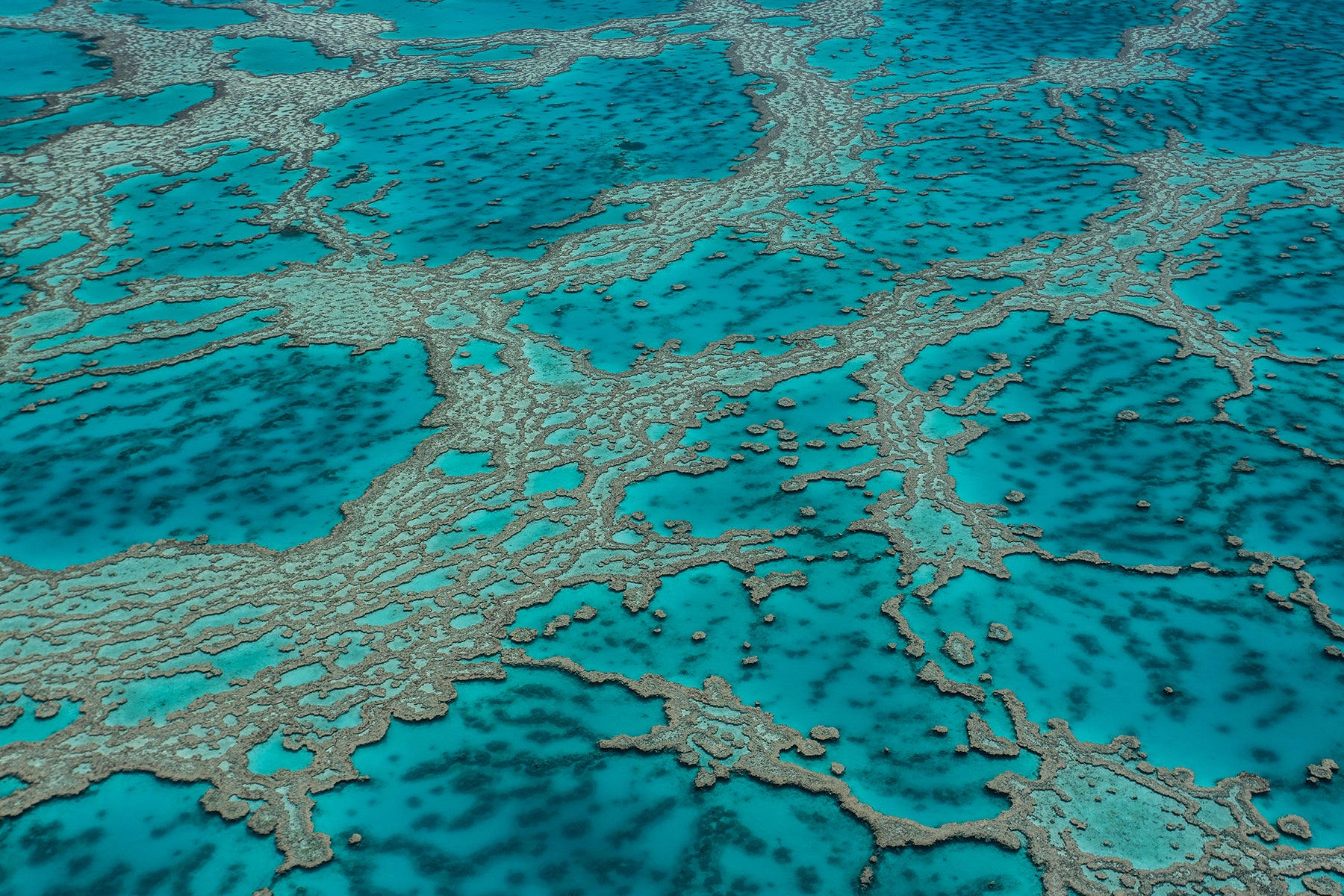 Abstract Ocean and Nature Prints – Above & Below Gallery