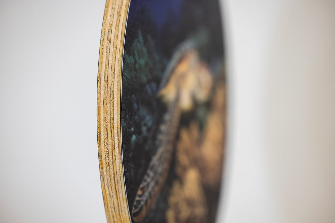 'Crush' - Timber Print – Above & Below Gallery