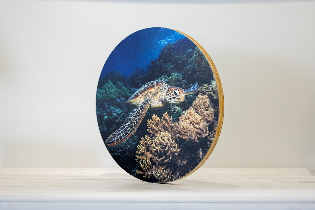 'Prospector' - Timber Print – Above & Below Gallery